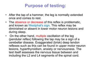 spinal cord reflexes.ppt