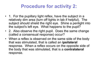 spinal cord reflexes.ppt
