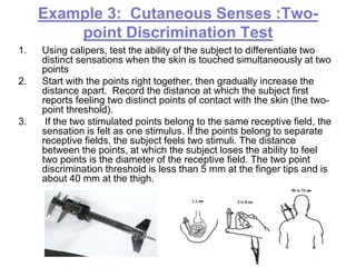 spinal cord reflexes.ppt