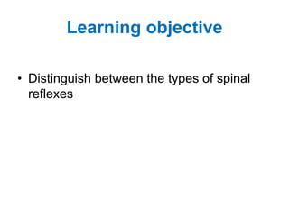 spinal cord reflexes.ppt