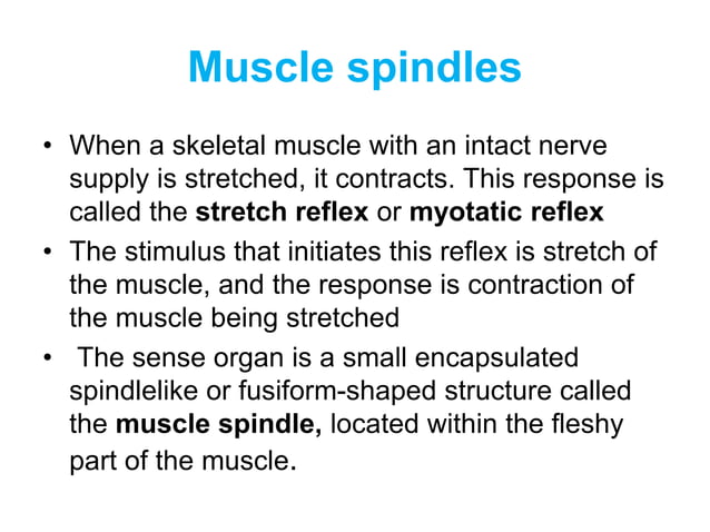 spinal cord reflexes.ppt