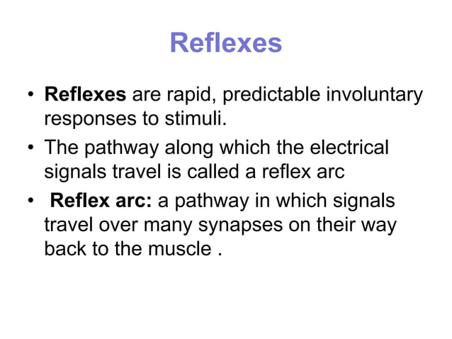 spinal cord reflexes.ppt