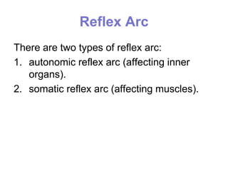 spinal cord reflexes.ppt