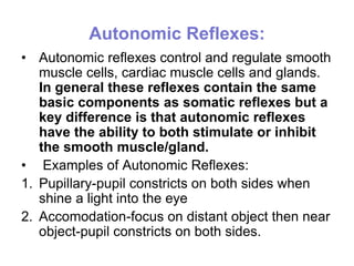 spinal cord reflexes.ppt