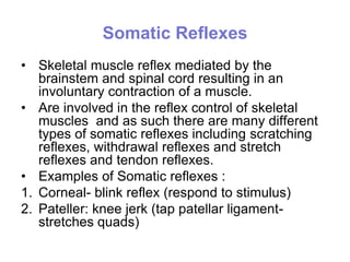 spinal cord reflexes.ppt