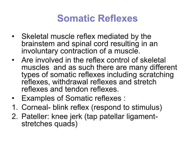 spinal cord reflexes.ppt