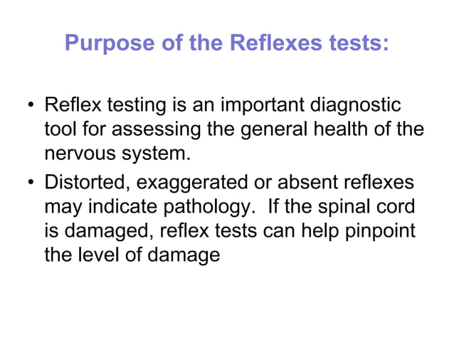 spinal cord reflexes.ppt