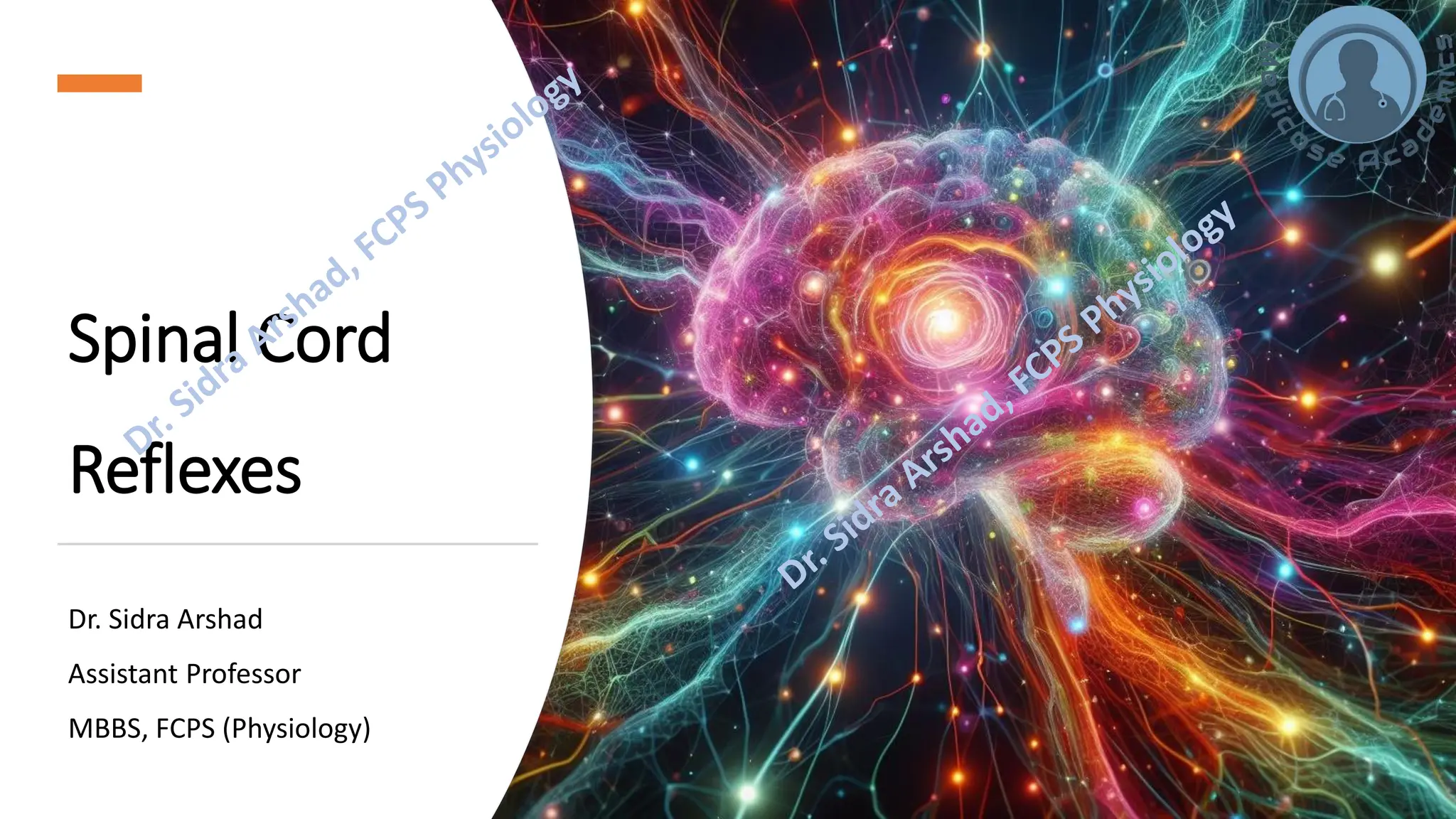 Motor Functions of the Spinal Cord - Spinal Cord Reflexes | PDF