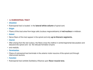 Spinal cord_tracts_structure_functions_importance | PPTX