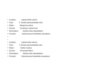 Spinal cord_tracts_structure_functions_importance | PPTX