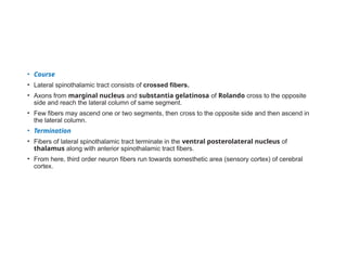 Spinal cord_tracts_structure_functions_importance | PPTX