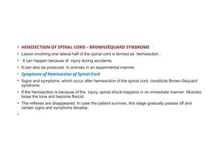 Spinal cord_tracts_structure_functions_importance | PPTX
