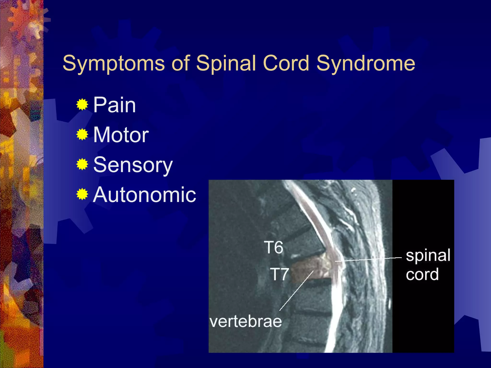 Spinal Cord Syndrome | PPT