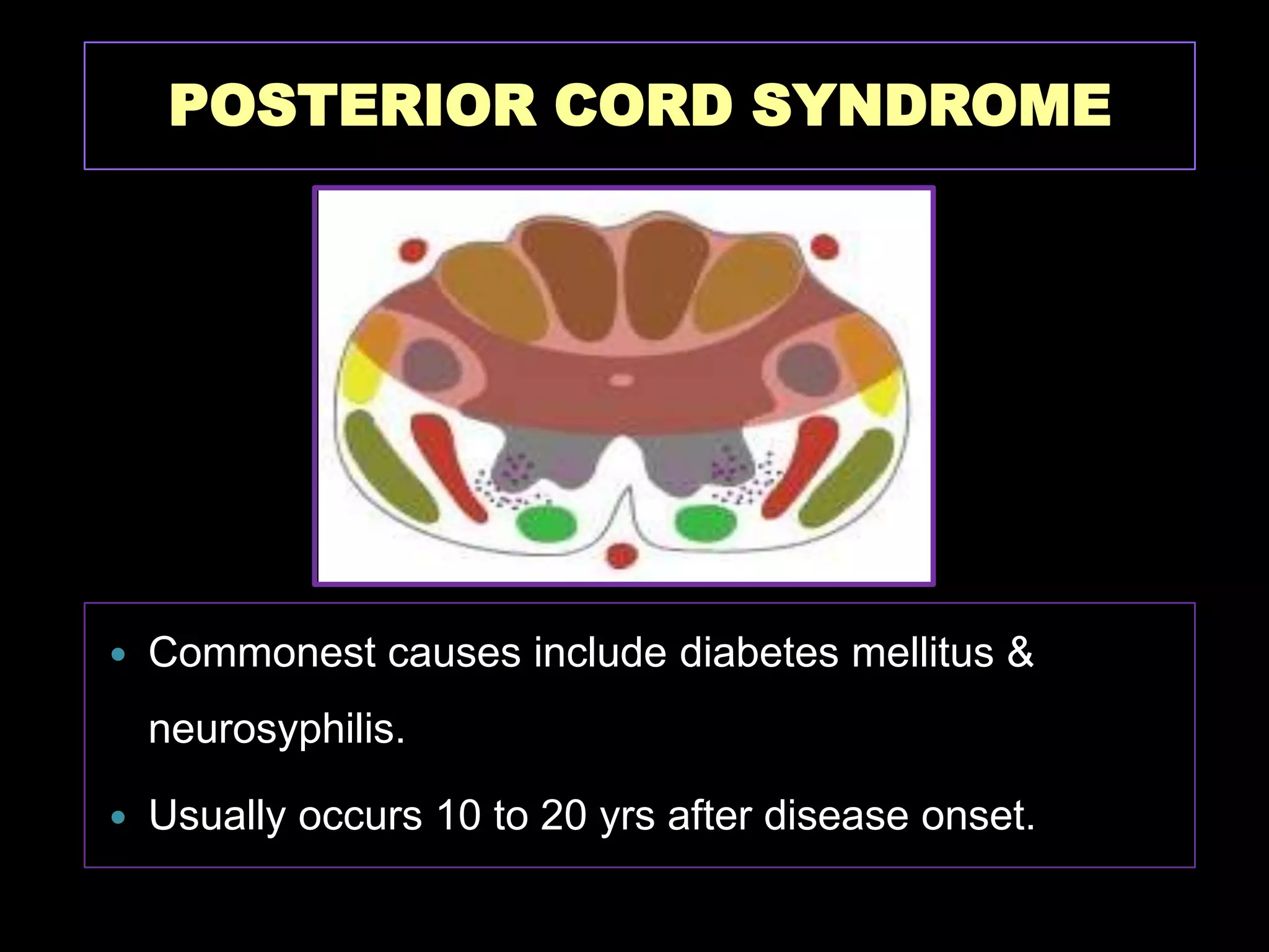 Spinal cord syndromes | PPSX