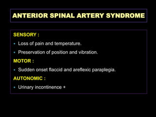 Spinal cord syndromes | PPSX