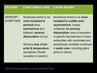 Spinal cord syndromes | PPSX