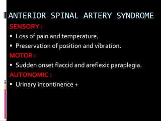 spinal cord syndromes copy.pptx | Death, Injury, or Military Conflict ...
