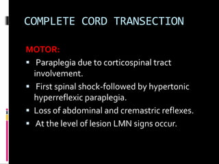 spinal cord syndromes copy.pptx | Death, Injury, or Military Conflict ...