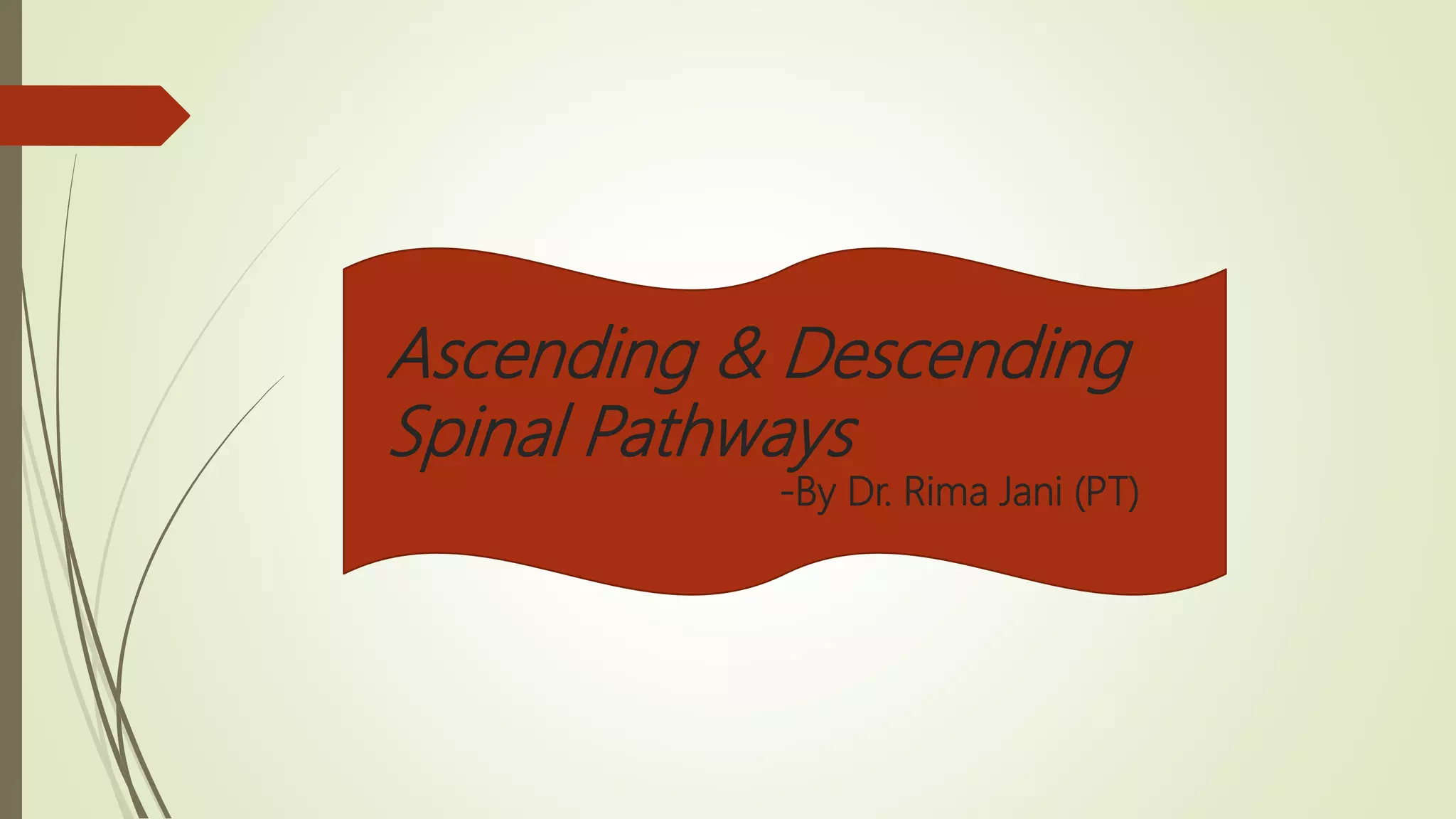 Tracts of Spinal Cord | Spinal Pathways | PPTX