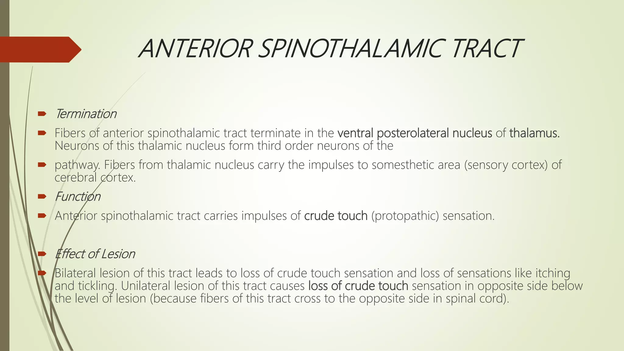 Tracts of Spinal Cord | Spinal Pathways | PPTX