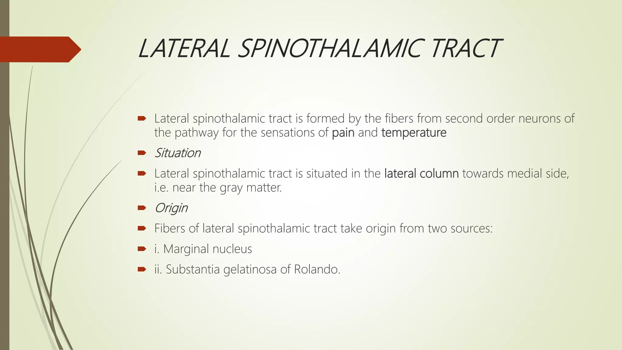 Tracts of Spinal Cord | Spinal Pathways | PPTX