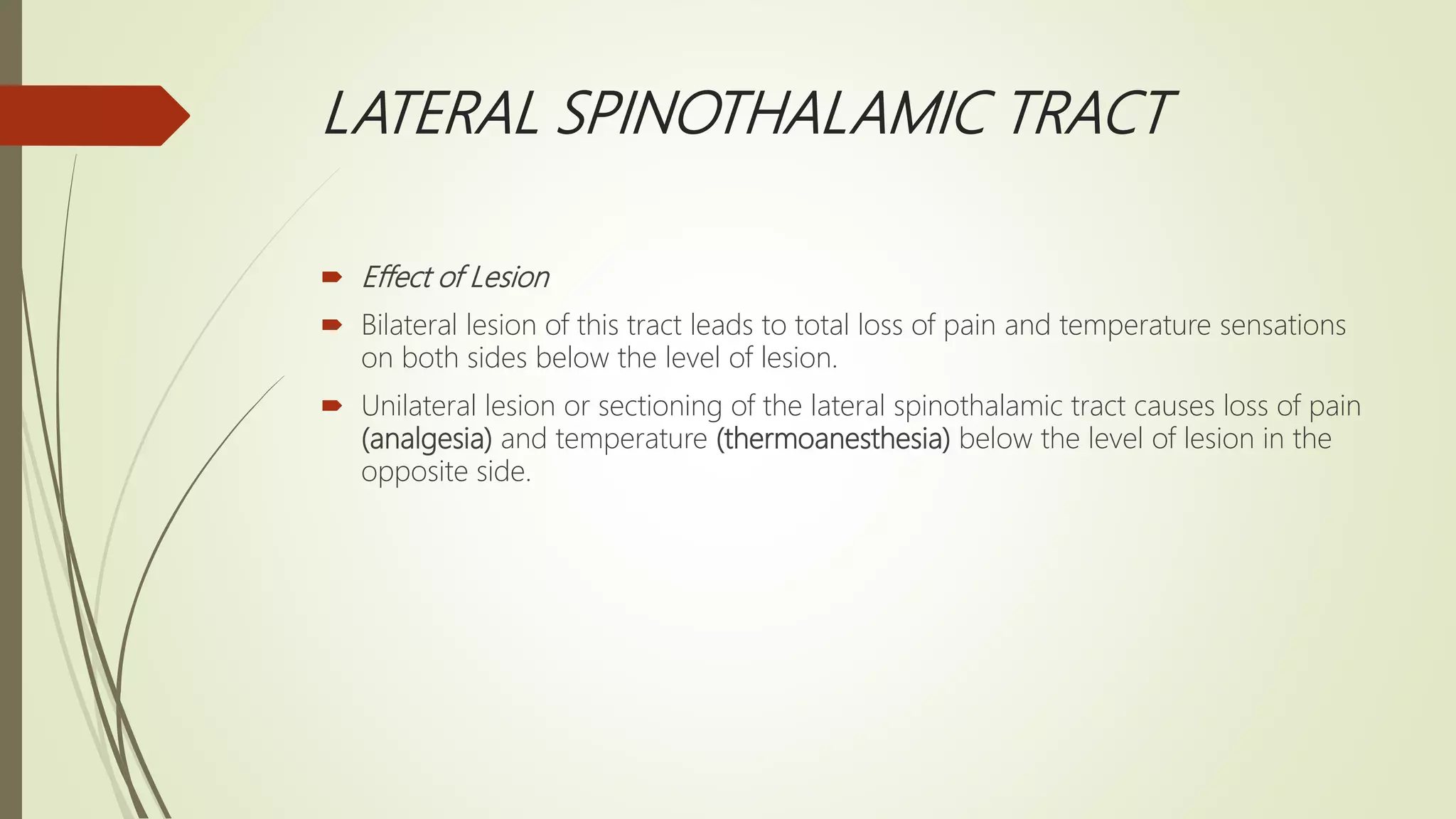 Tracts of Spinal Cord | Spinal Pathways | PPTX
