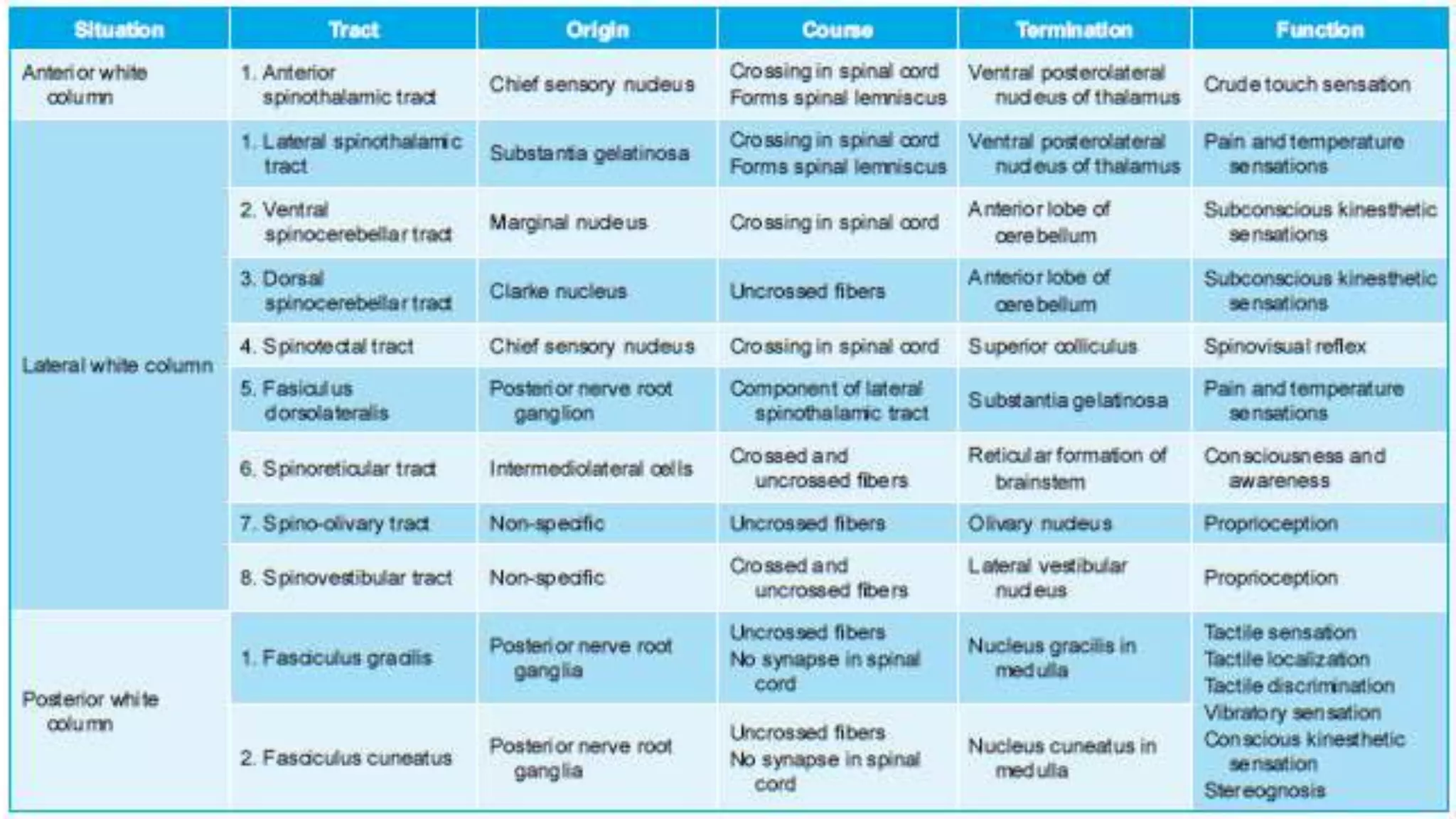 Tracts of Spinal Cord | Spinal Pathways | PPTX