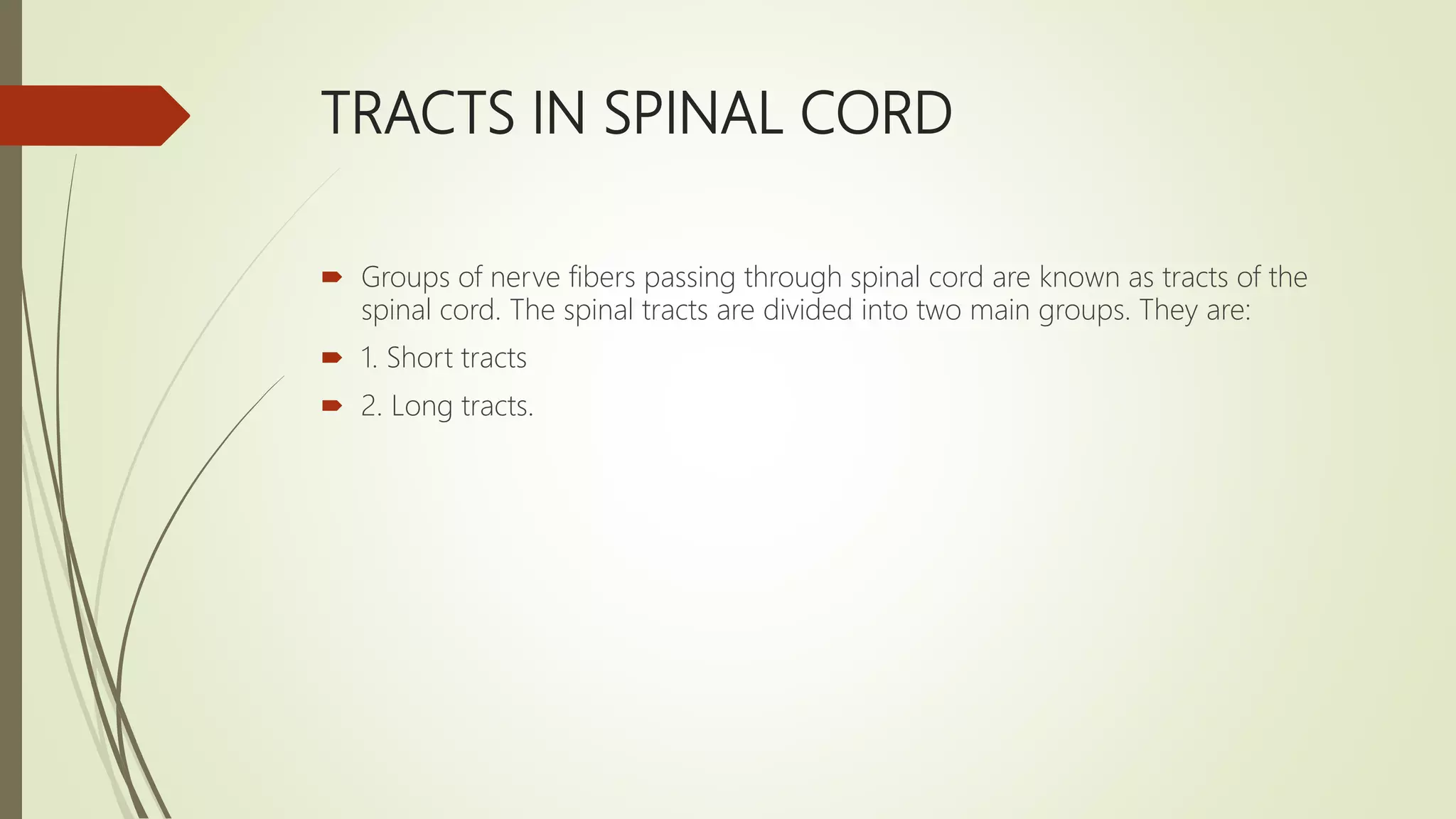 Tracts of Spinal Cord | Spinal Pathways | PPTX