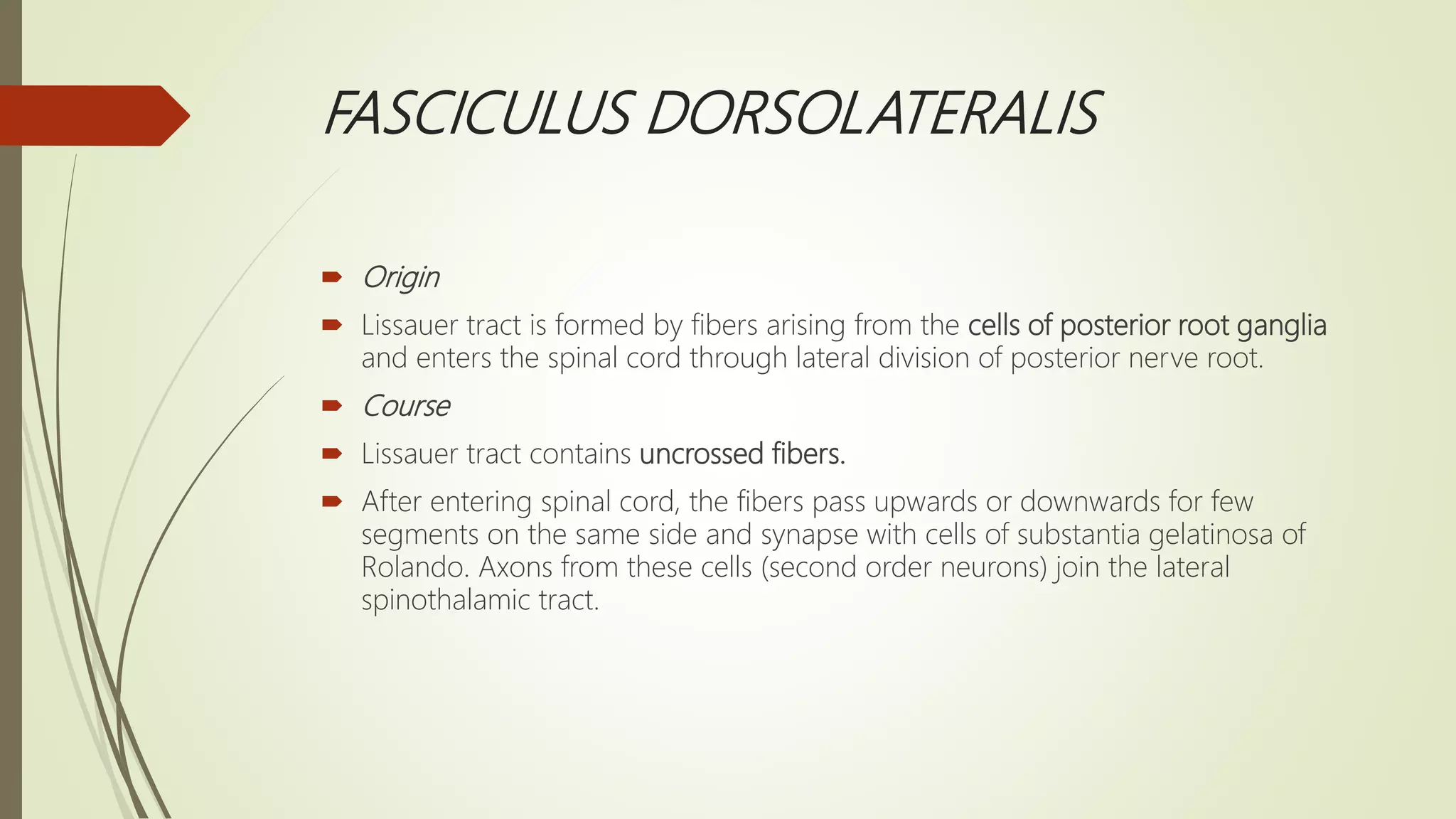 Tracts of Spinal Cord | Spinal Pathways | PPTX