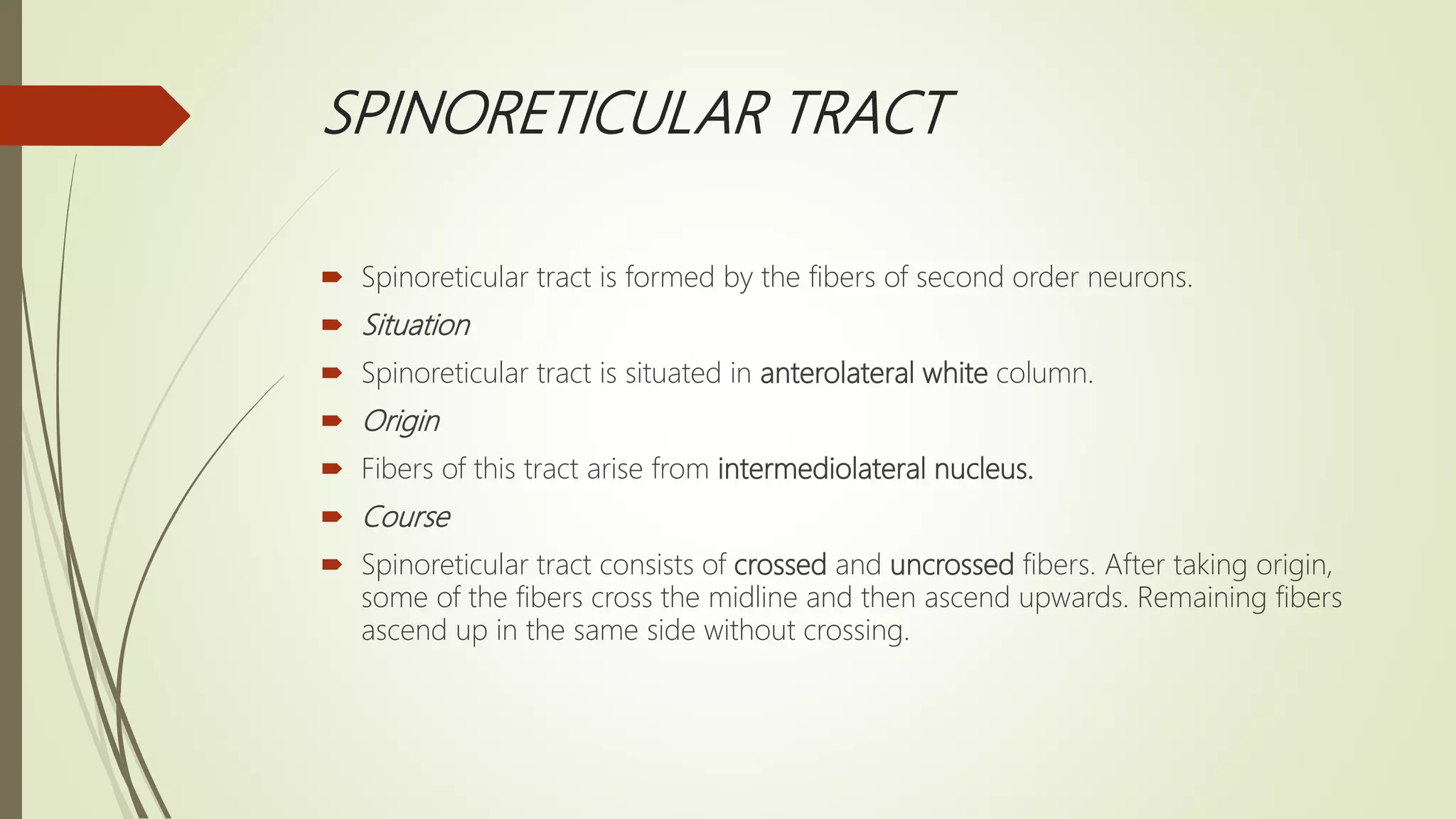 Tracts of Spinal Cord | Spinal Pathways | PPTX