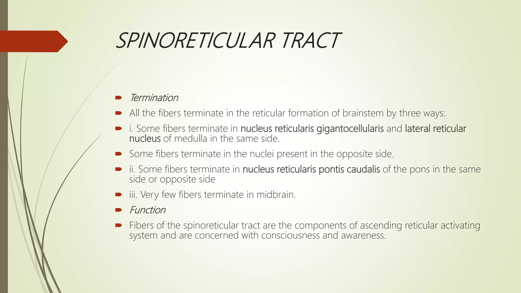 Tracts of Spinal Cord | Spinal Pathways | PPTX