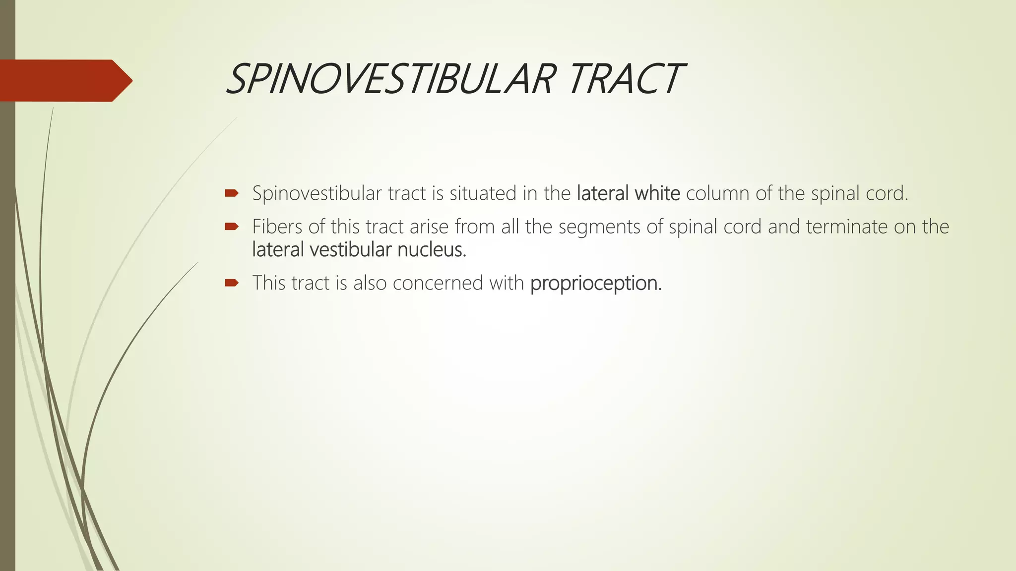 Tracts of Spinal Cord | Spinal Pathways | PPTX