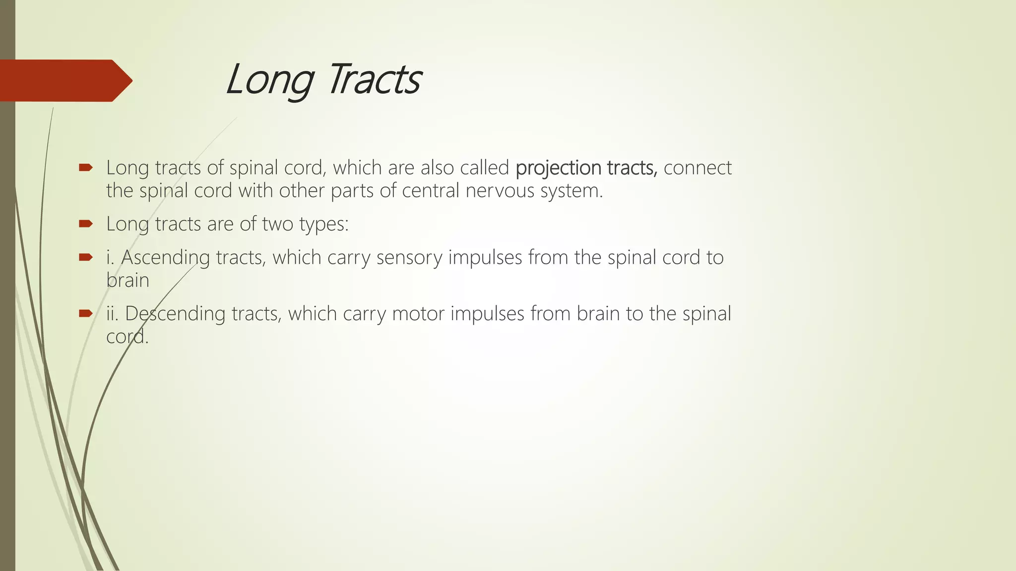 Tracts of Spinal Cord | Spinal Pathways | PPTX