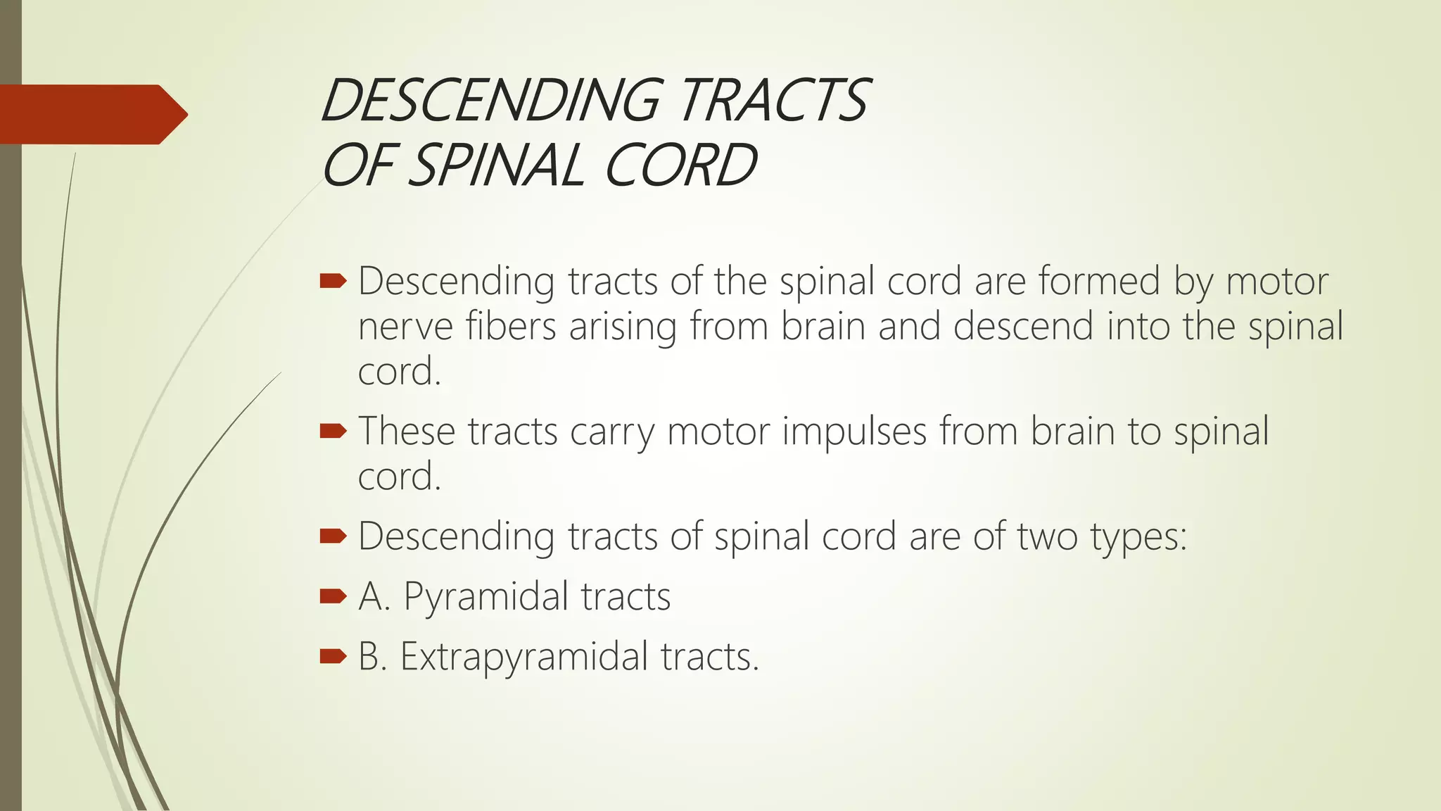 Tracts of Spinal Cord | Spinal Pathways | PPTX