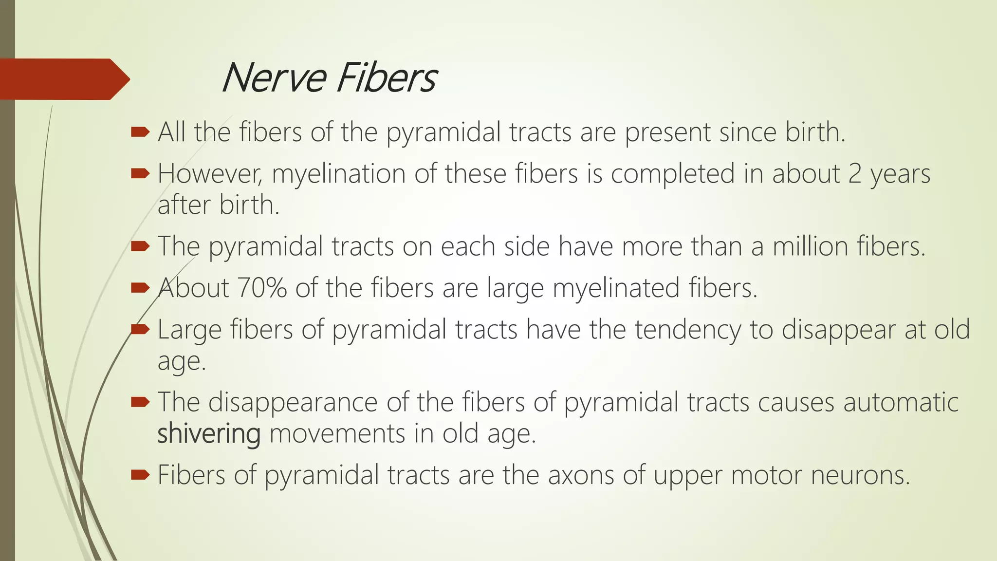 Tracts of Spinal Cord | Spinal Pathways | PPTX