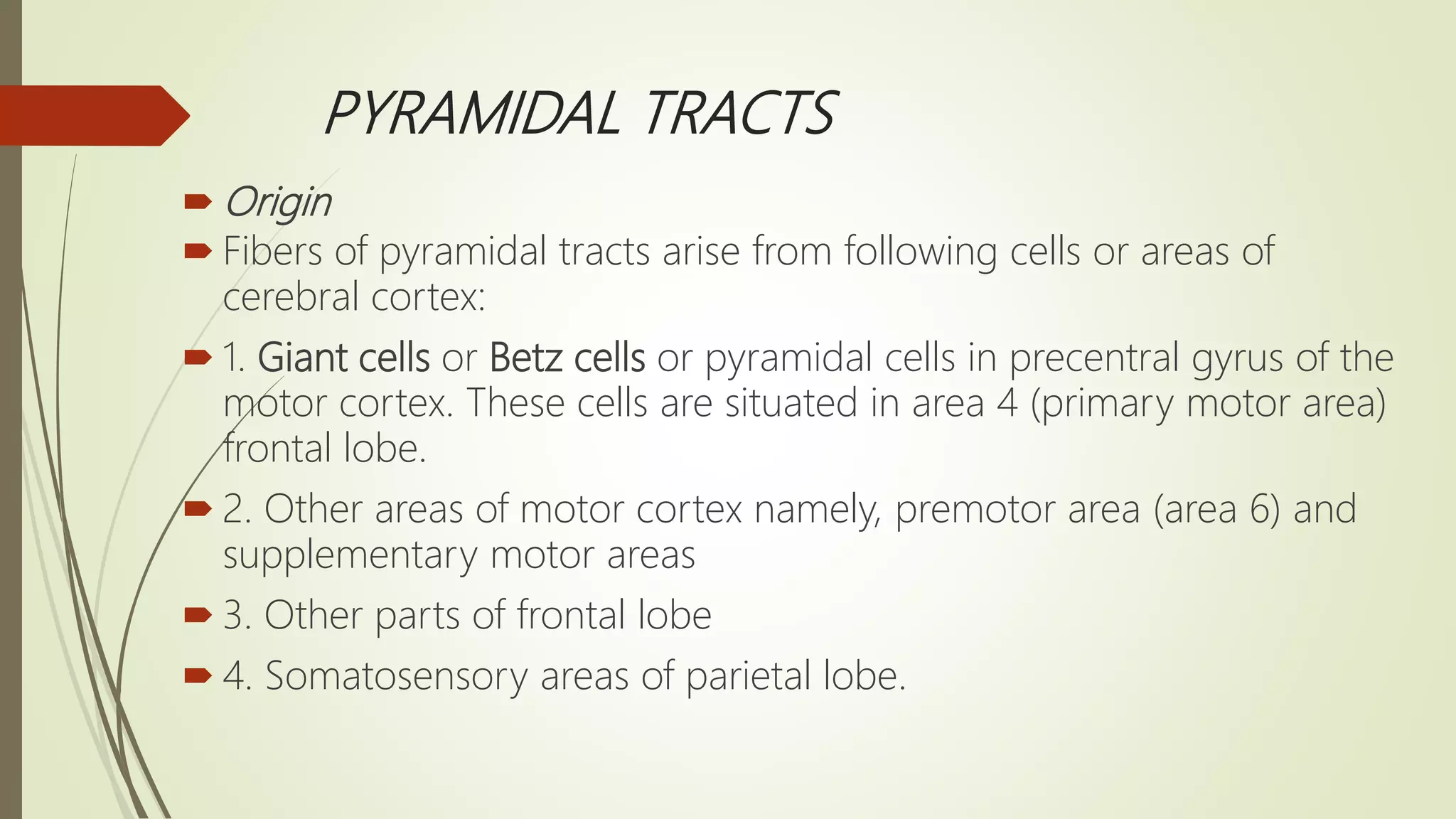 Tracts of Spinal Cord | Spinal Pathways | PPTX