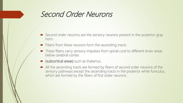 Tracts of Spinal Cord | Spinal Pathways | PPTX