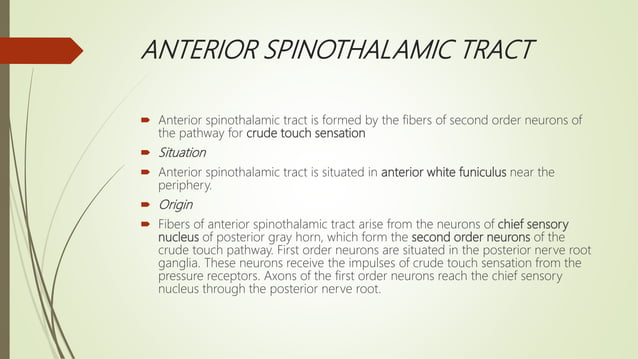 Tracts of Spinal Cord | Spinal Pathways | PPTX