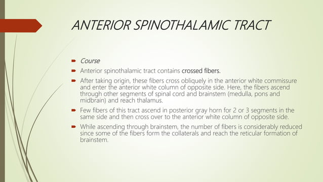 Tracts of Spinal Cord | Spinal Pathways | PPTX