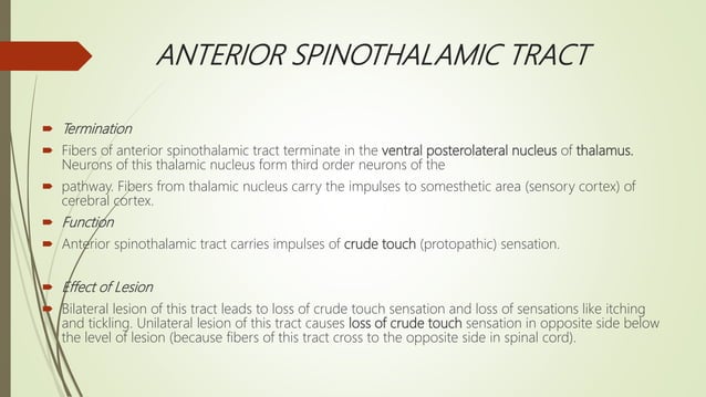 Tracts of Spinal Cord | Spinal Pathways | PPTX
