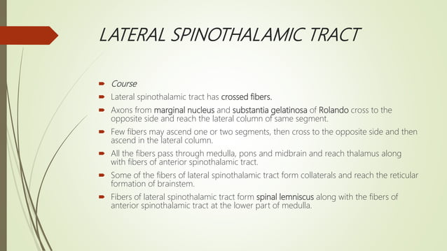 Tracts of Spinal Cord | Spinal Pathways | PPTX