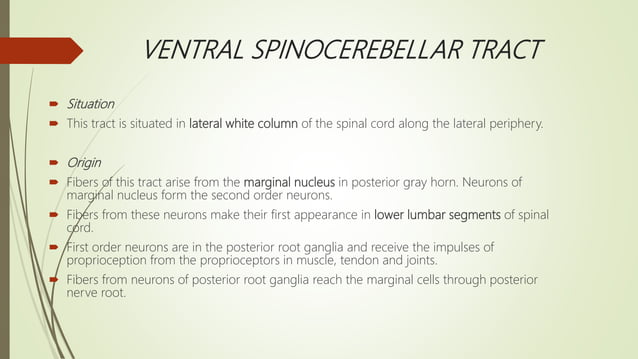 Tracts of Spinal Cord | Spinal Pathways | PPTX