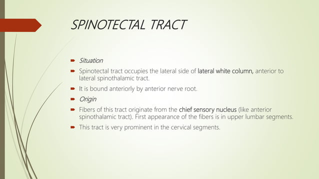 Tracts of Spinal Cord | Spinal Pathways | PPTX
