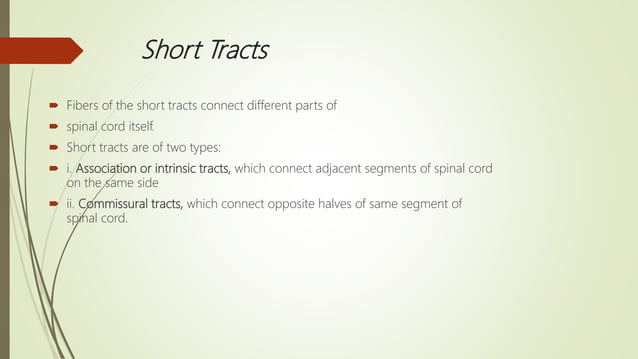 Tracts of Spinal Cord | Spinal Pathways | PPTX