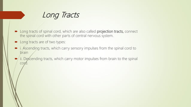 Tracts of Spinal Cord | Spinal Pathways | PPTX