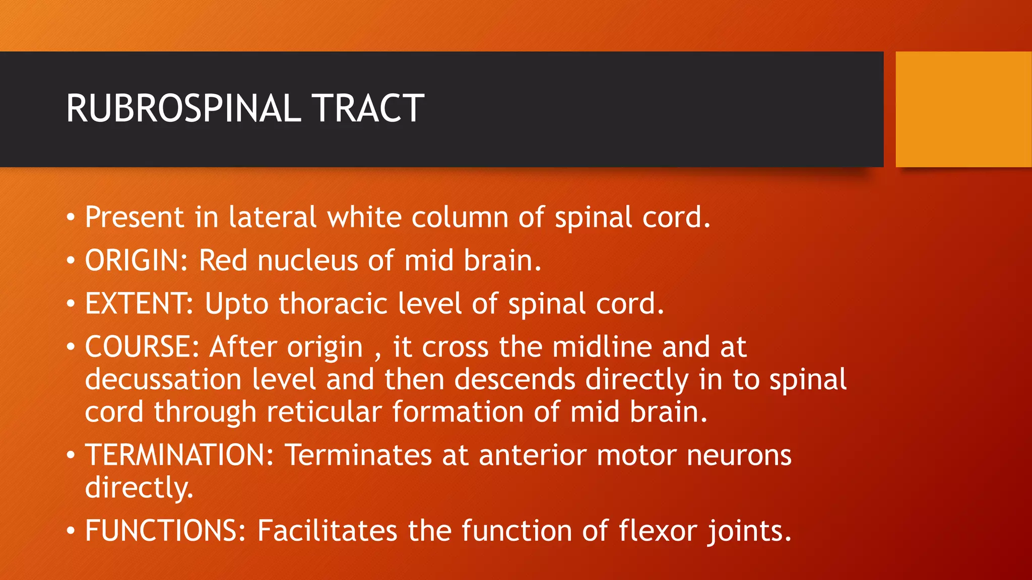 Spinal cord tracts | PPTX