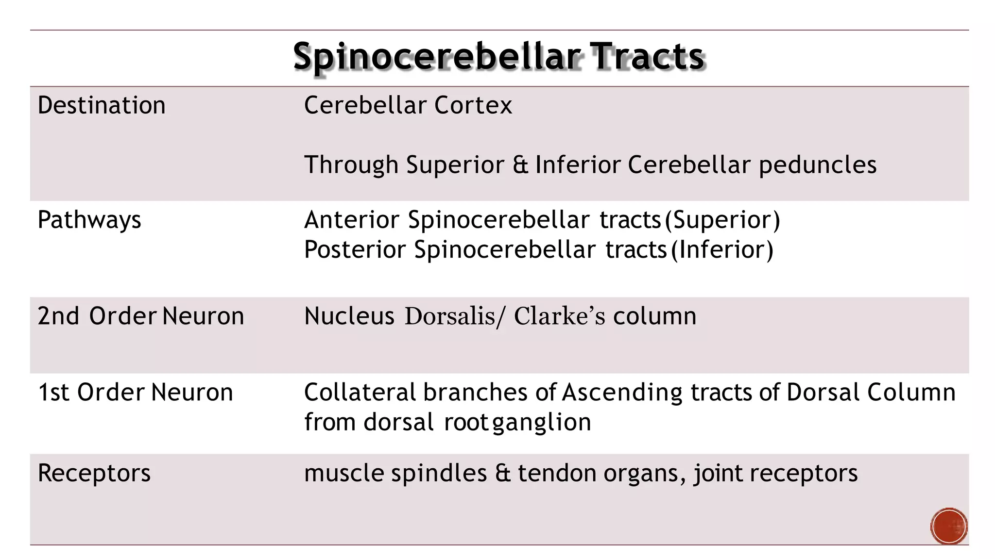 Spinal_cord_Tracts.pptx