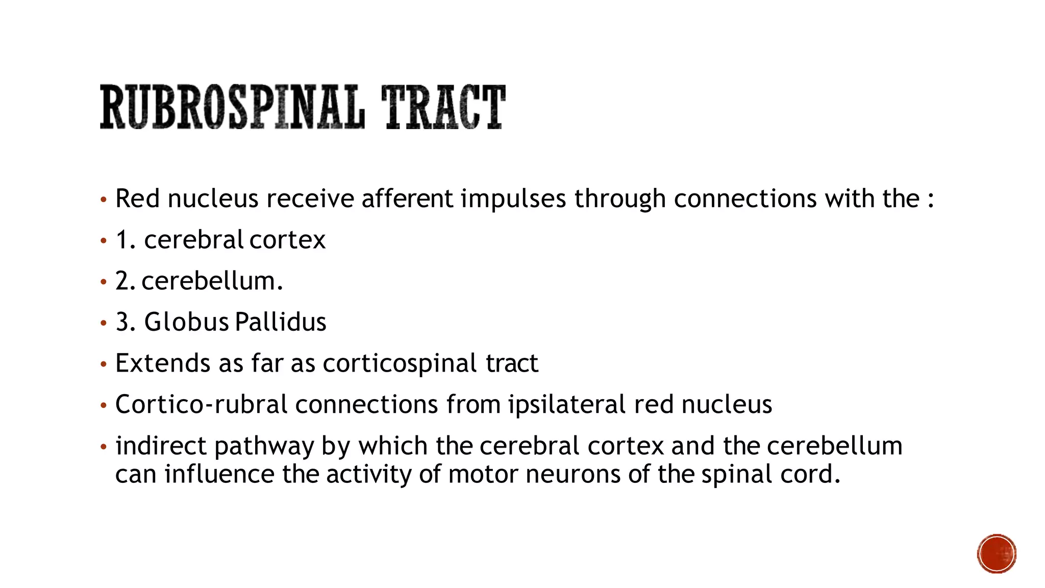Spinal_cord_Tracts.pptx