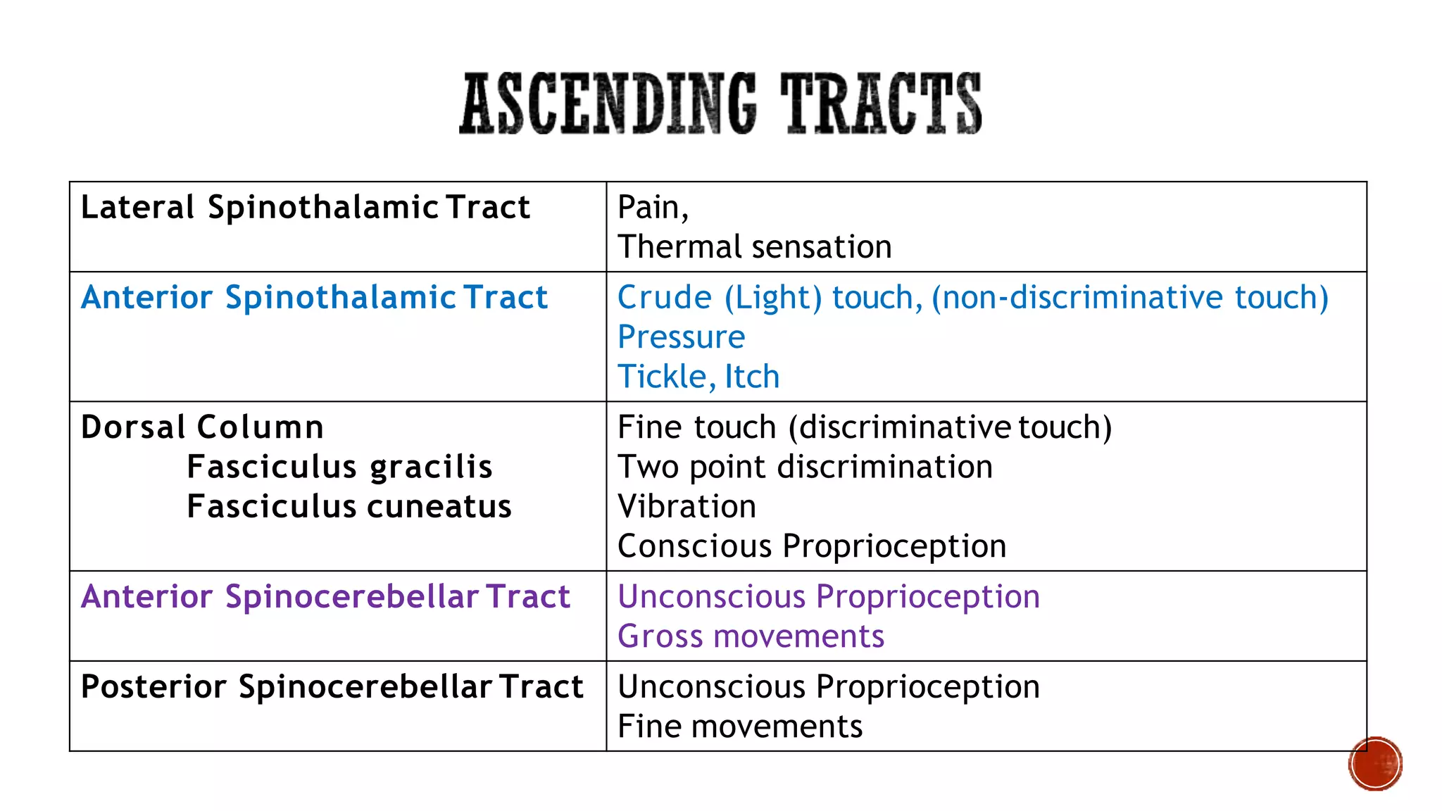 Spinal_cord_Tracts.pptx