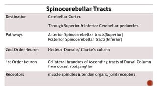 Spinal_cord_Tracts.pptx